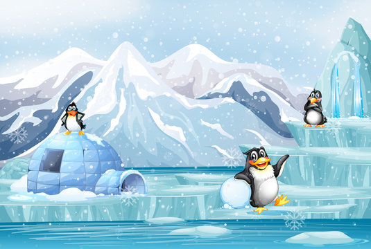 Penguins On Iceberg Clip Art