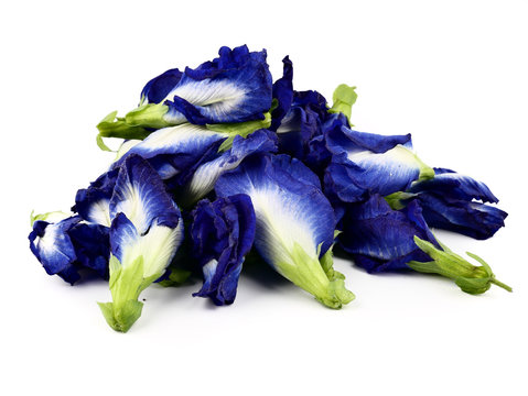 Ternatea Images – Browse 12 Stock Photos, Vectors, and Video | Adobe Stock