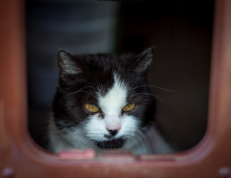 「Mitze」の画像 - 75 件の Stock 写真、ベクターおよびビデオ | Adobe Stock