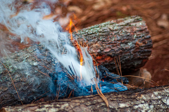 Lumbre Bilder – Durchsuchen 352 Archivfotos, Vektorgrafiken und Videos ...