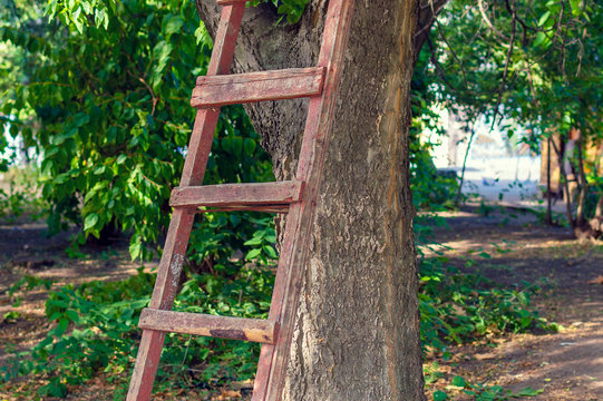 รูปภาพScaling-Ladder – เลือกดูภาพถ่ายสต็อก เวกเตอร์ และวิดีโอ438 ...