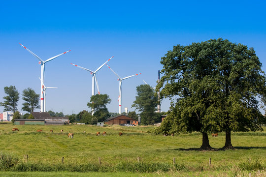 DIE 518 BESTEN BILDER, STOCK-FOTOS UND -VEKTORGRAFIKEN ZU „Western ...