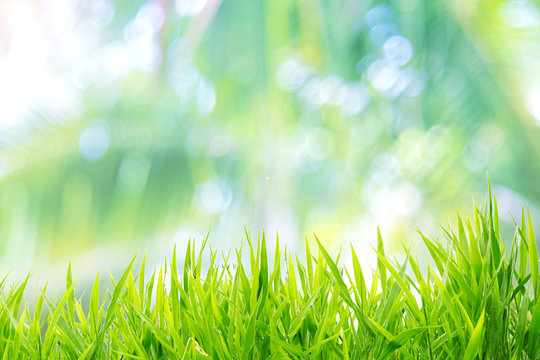 Free Summer Images – Browse 106,114 Free Stock Photos, Vectors, and ...