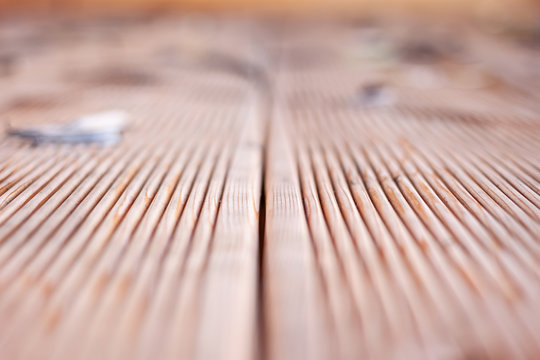 รูปภาพ"Larch – เลือกดูภาพถ่ายสต็อก เวกเตอร์ และวิดีโอ102,144 | Adobe Stock