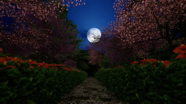 Full Moon Spring Images – Browse 235,101 Stock Photos, Vectors, and ... Full Moon Spring Images – Browse 235,101 Stock Photos, Vectors, and ...