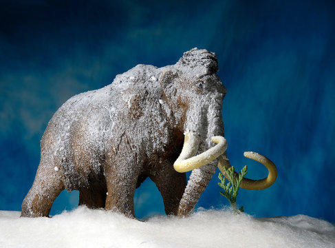 Frozen Mammoth