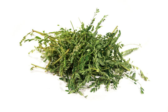 รูปภาพTamalaki – เลือกดูภาพถ่ายสต็อก เวกเตอร์ และวิดีโอ75 | Adobe Stock