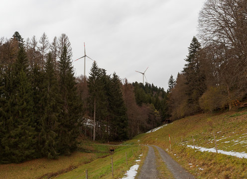 Winrad Bilder – Durchsuchen 62 Archivfotos, Vektorgrafiken und Videos ...