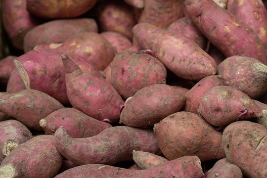 Ratalu bilder – Bläddra bland 2,149 stockfoton, vektorer och videor ...