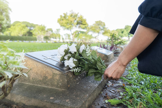 รูปภาพMourn – เลือกดูภาพถ่ายสต็อก เวกเตอร์ และวิดีโอ155,252 | Adobe Stock