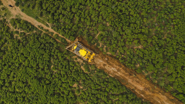 Deforestating Bilder – Durchsuchen 15 Archivfotos, Vektorgrafiken und ...