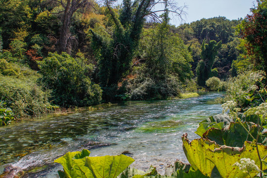 Finiq Images – Browse 40 Stock Photos, Vectors, and Video | Adobe Stock