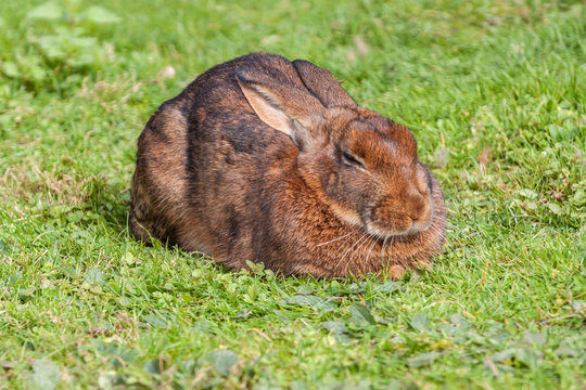 Haase Images – Browse 80 Stock Photos, Vectors, and Video | Adobe Stock