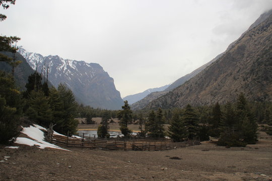 "Torong Imagens – Procure 102 fotos, vetores e vídeos | Adobe Stock