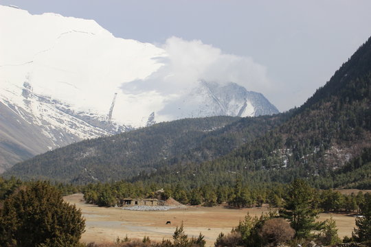"Torong Imagens – Procure 102 fotos, vetores e vídeos | Adobe Stock