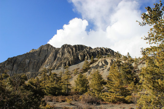 "Torong Imagens – Procure 102 fotos, vetores e vídeos | Adobe Stock