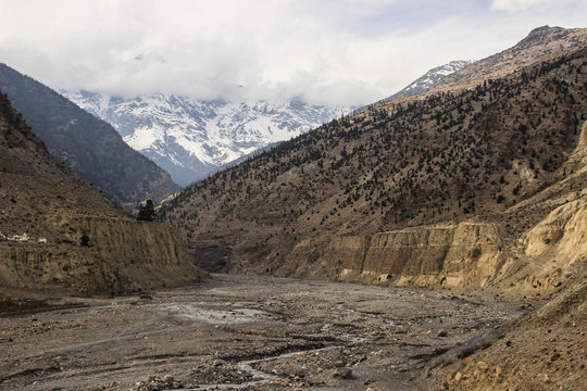 "Torong Imagens – Procure 102 fotos, vetores e vídeos | Adobe Stock