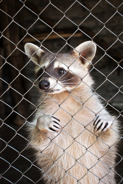 32,512 IMAGES, PHOTOS ET ILLUSTRATIONS VECTORIELLES STOCK APPROPRIÉES ...