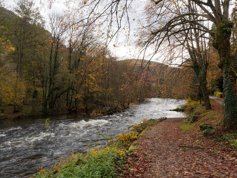 "En Aval"-Bilder: Stock-Fotos & -Videos. | Adobe Stock