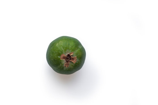 Feyxoa bilder – Bläddra bland 73 stockfoton, vektorer och videor ...