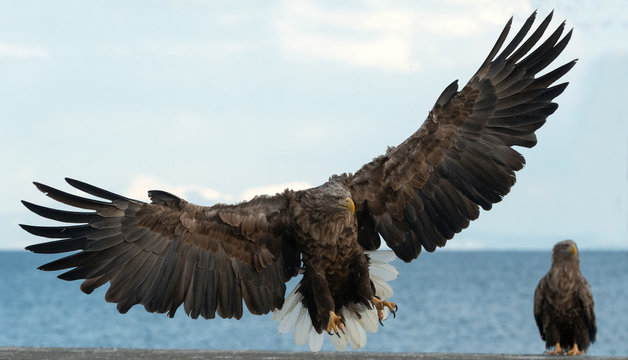 Ern Images – Browse 43,162 Stock Photos, Vectors, and Video | Adobe Stock