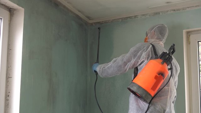 Obrázky Remediation – procházejte fotografie, vektory a videa 821,325 ...