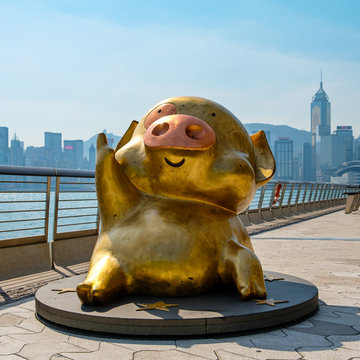 53 BEST Hkcec IMAGES, STOCK PHOTOS & VECTORS | Adobe Stock