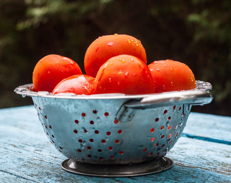 รูปภาพCullender – เลือกดูภาพถ่ายสต็อก เวกเตอร์ และวิดีโอ49,308 | Adobe ...