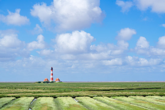 Warft Bilder – Durchsuchen 813 Archivfotos, Vektorgrafiken und Videos ...