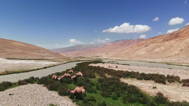 Panji Images – Browse 123 Stock Photos, Vectors, and Video | Adobe Stock