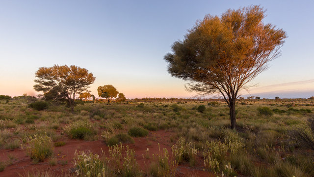 รูปภาพBushland – เลือกดูภาพถ่ายสต็อก เวกเตอร์ และวิดีโอ19,484 | Adobe Stock