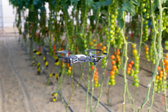 Rastreo Images – Browse 45 Stock Photos, Vectors, and Video | Adobe Stock