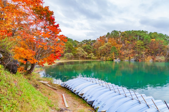 Goshiki-Numa bilder – Bläddra bland 110 stockfoton, vektorer och videor ...