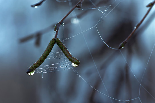 Noga Images – Parcourir 3,207 le catalogue de photos, vecteurs et ...