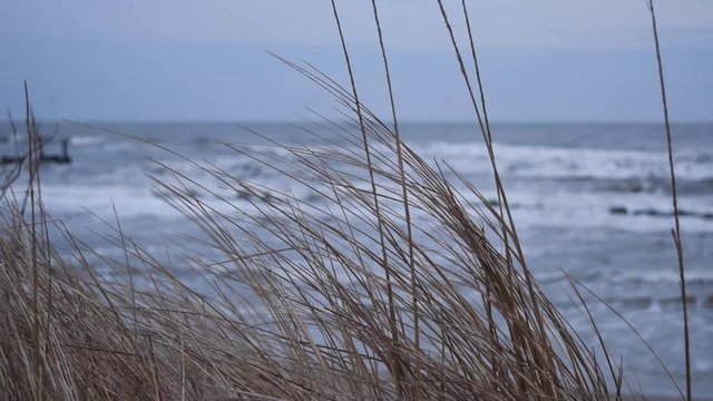 Imagens de Ripplet – Explore Fotografias do Stock, Vetores e Vídeos de ...