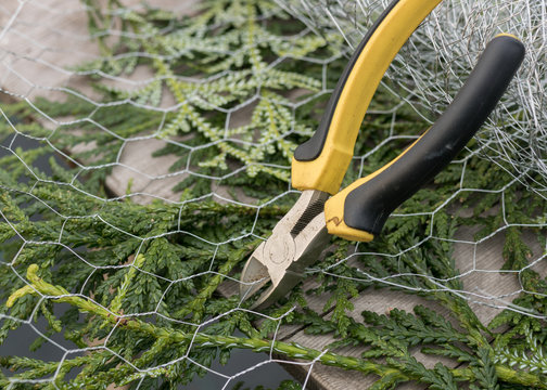 Chicken-Wire Images – Browse 848 Stock Photos, Vectors, and Video ...