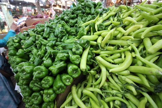 Genmanipuliert bilder – Bläddra bland 642 stockfoton, vektorer och ...