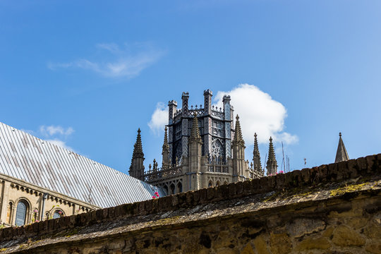 Tiburio Bilder – Durchsuchen 2,953 Archivfotos, Vektorgrafiken und ...