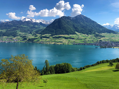 Buochs Images – Browse 391 Stock Photos, Vectors, and Video | Adobe Stock