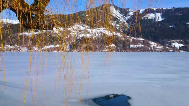 "Weeping Willow Tree" Images – Browse 694 Stock Photos, Vectors, and ...