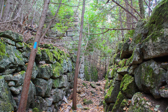 Kild Images – Browse 33 Stock Photos, Vectors, and Video | Adobe Stock