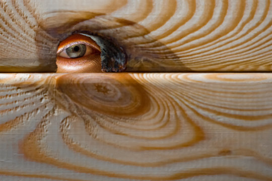 Furtively Images – Browse 602 Stock Photos, Vectors, and Video | Adobe ...