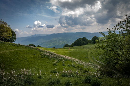 Prima Bilder – Durchsuchen 8,475 Archivfotos, Vektorgrafiken und Videos ...