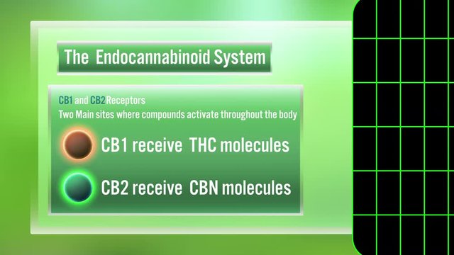 Cb2 Images – Browse 1,164 Stock Photos, Vectors, and Video | Adobe Stock