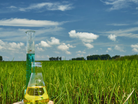 Imágenes de Agrochemistry: descubre bancos de fotos, ilustraciones ...