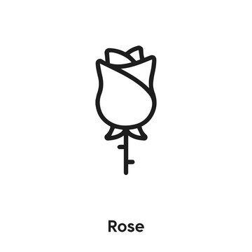 "Rose Icon" Imagens – Procure 362 fotos, vetores e vídeos | Adobe Stock