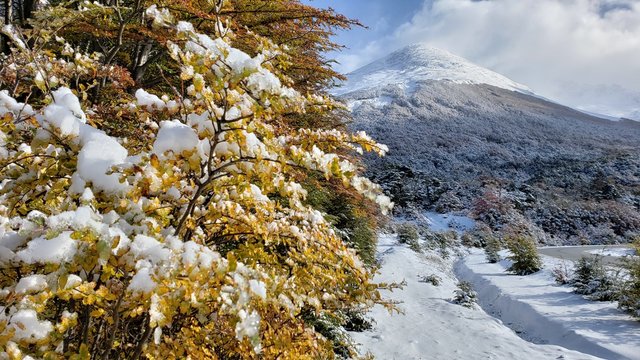 「Snowr」の写真素材 | 17件の無料イラスト画像 | Adobe Stock