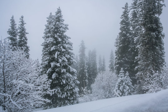 Taldy-Kurgan Bilder – Durchsuchen 1,606 Archivfotos, Vektorgrafiken und ...