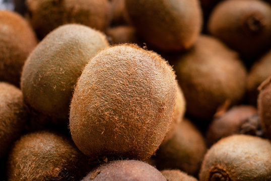 Imágenes de Alberja: descubre bancos de fotos, ilustraciones, vectores ...