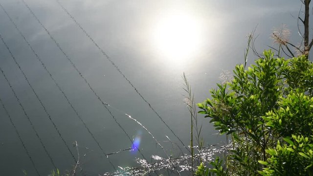 Ripplet-Bilder: Stock-Fotos & -Videos. | Adobe Stock